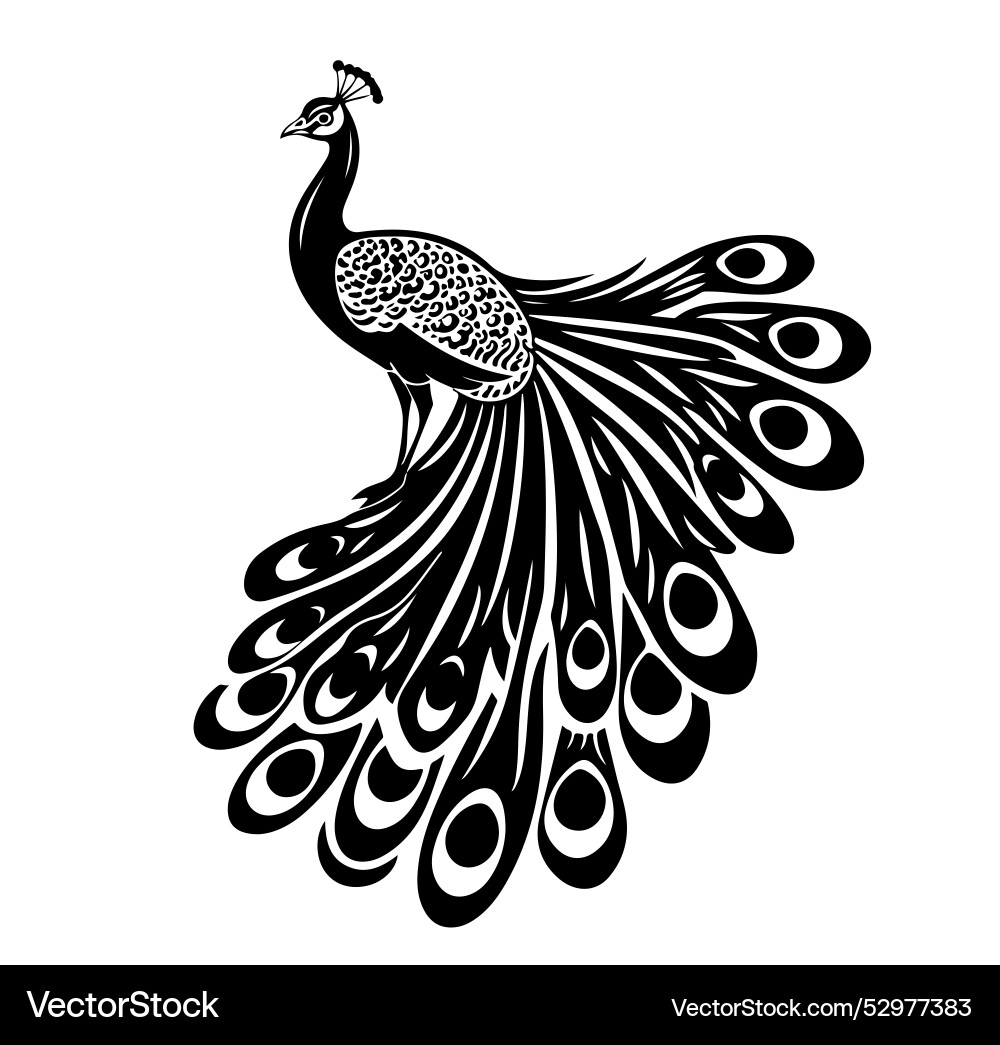 Sketch of peacock hand drawn Royalty Free Vector Image