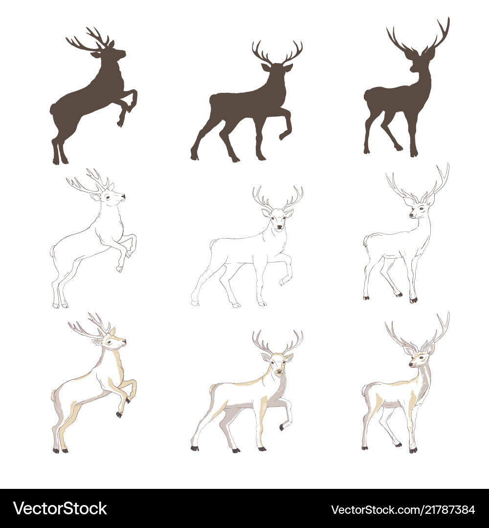 Deer drawing Royalty Free Vector Image - VectorStock