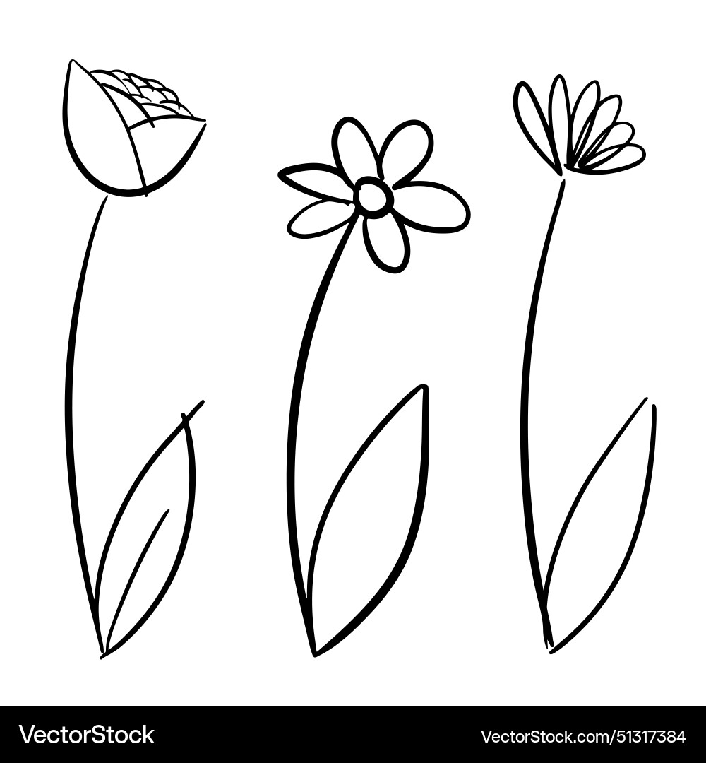 Simple Flowers Clipart Black And White Black And White Flower Black