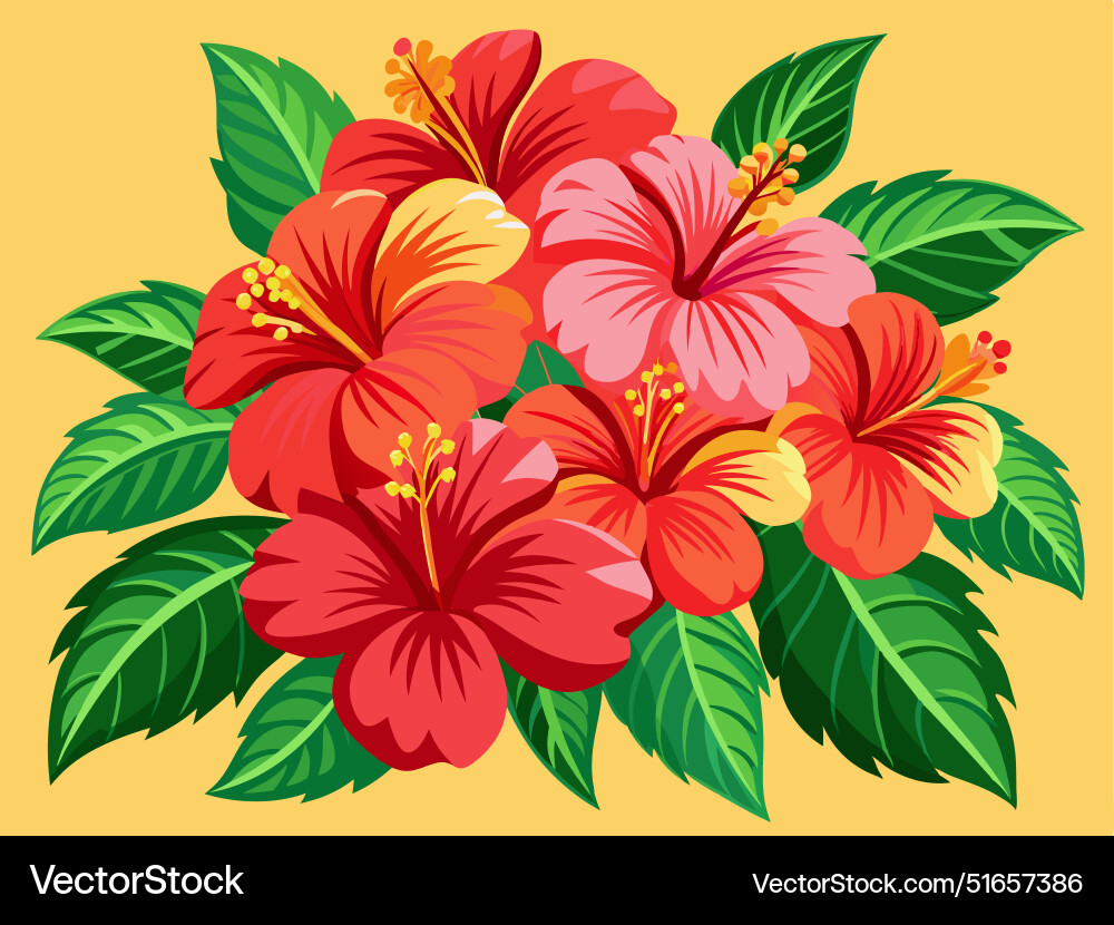 Hibiscus flower bunch b Royalty Free Vector Image