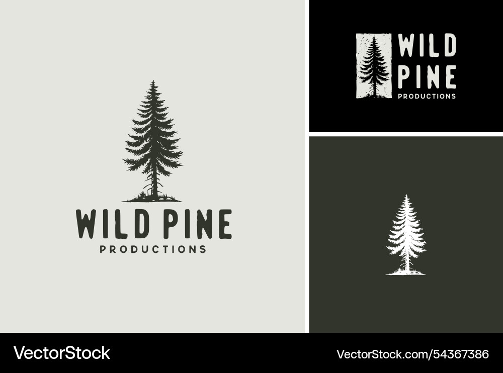 Lone Dry Pine Tree Logo Royalty Free Vector Image