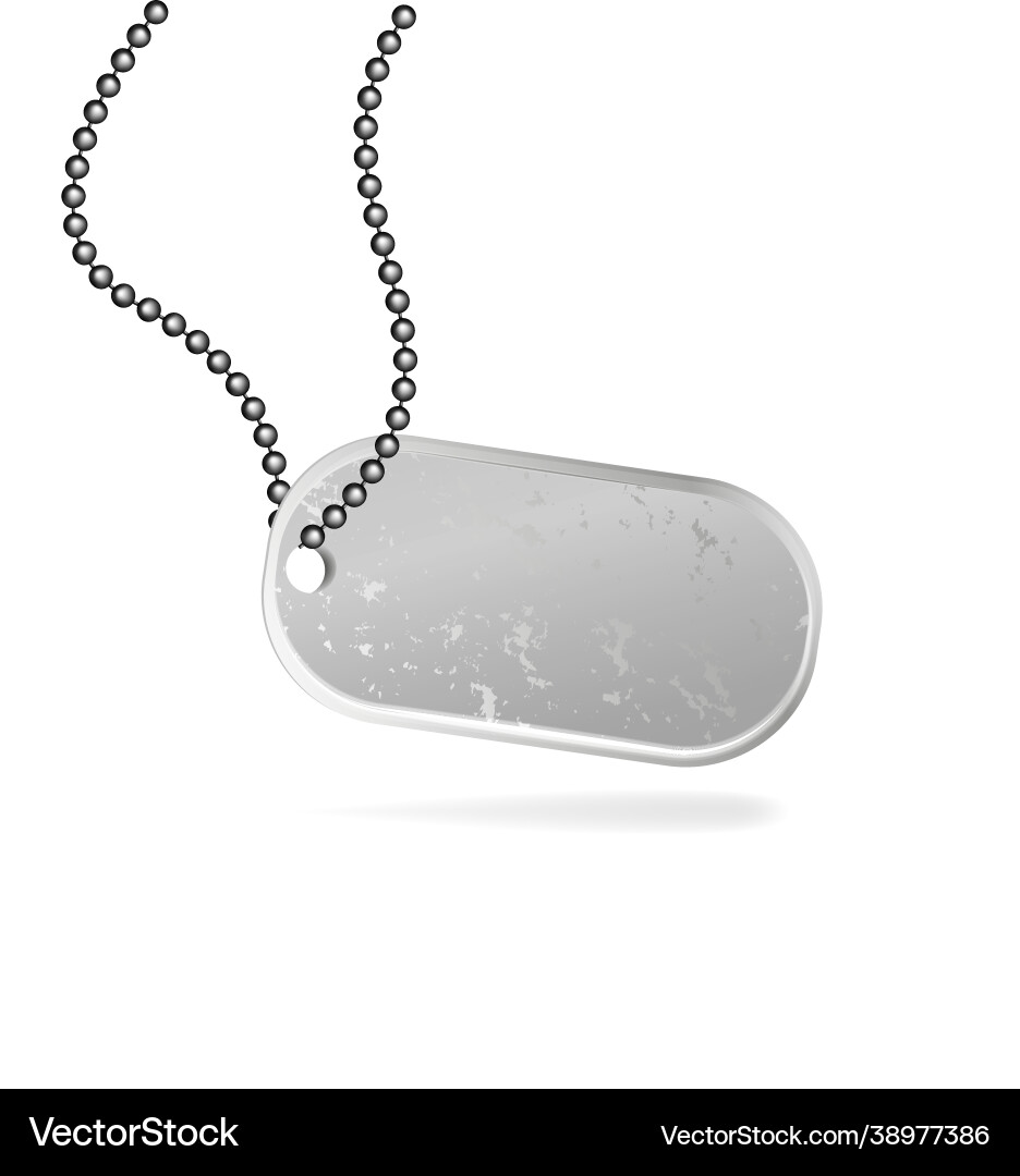 Military id tag army medallion Royalty Free Vector Image