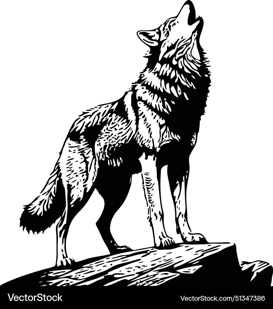Wild wolf howling full body outline Royalty Free Vector