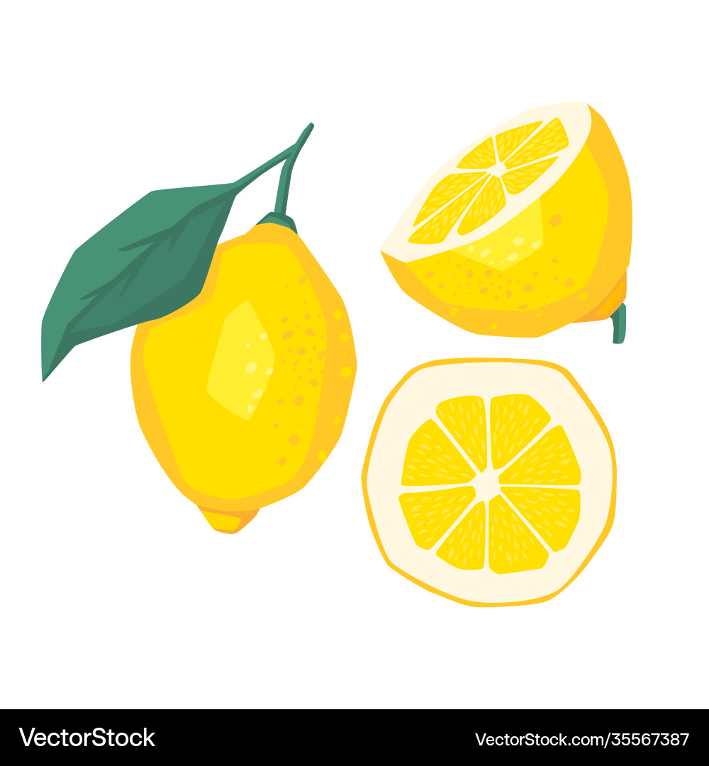 Lemon slices fresh citrus half sliced lemons Vector Image
