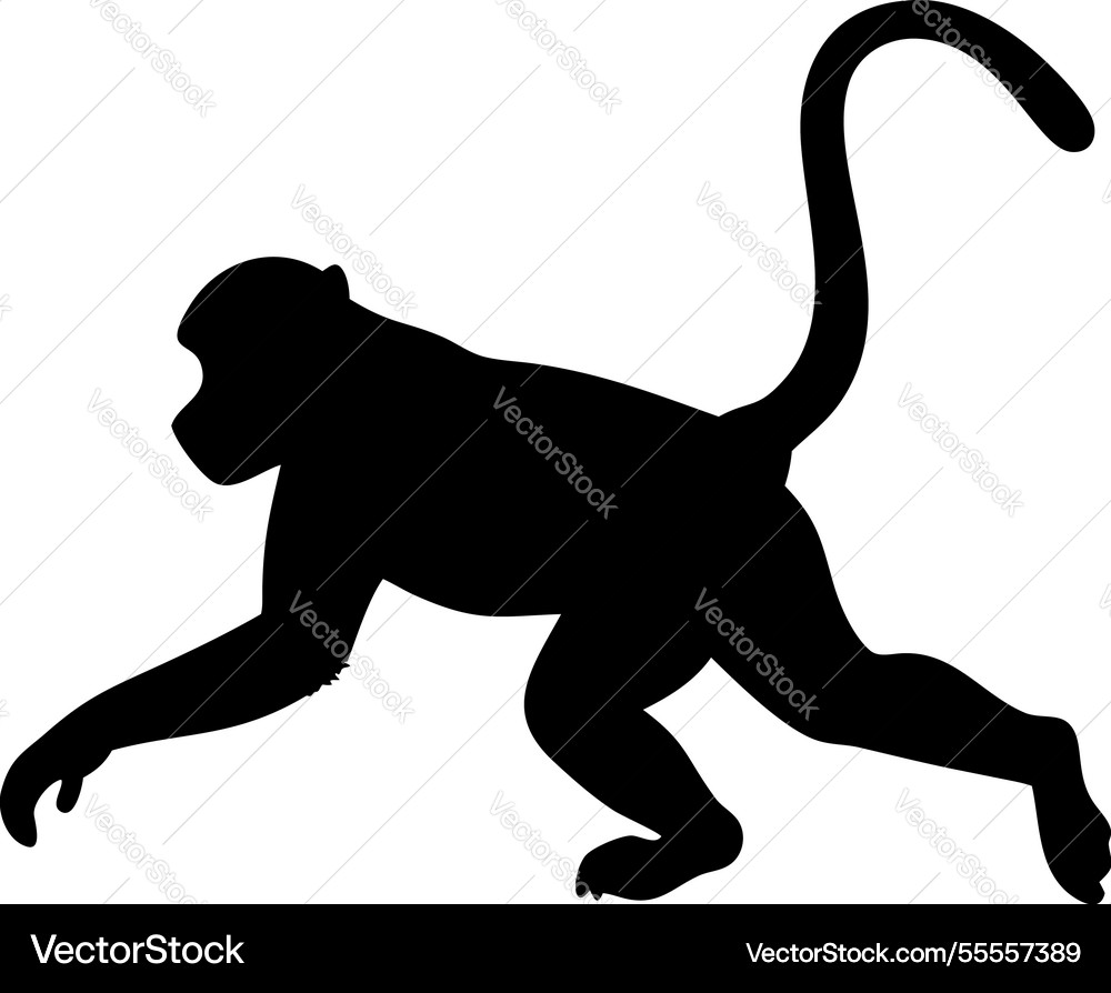 Monkey silhouette black and white Royalty Free Vector Image