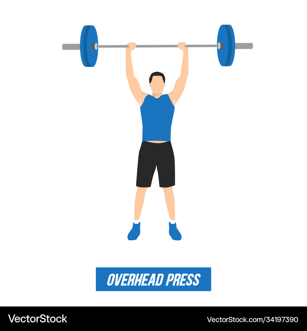Exercise overhead press with a barbell Royalty Free Vector