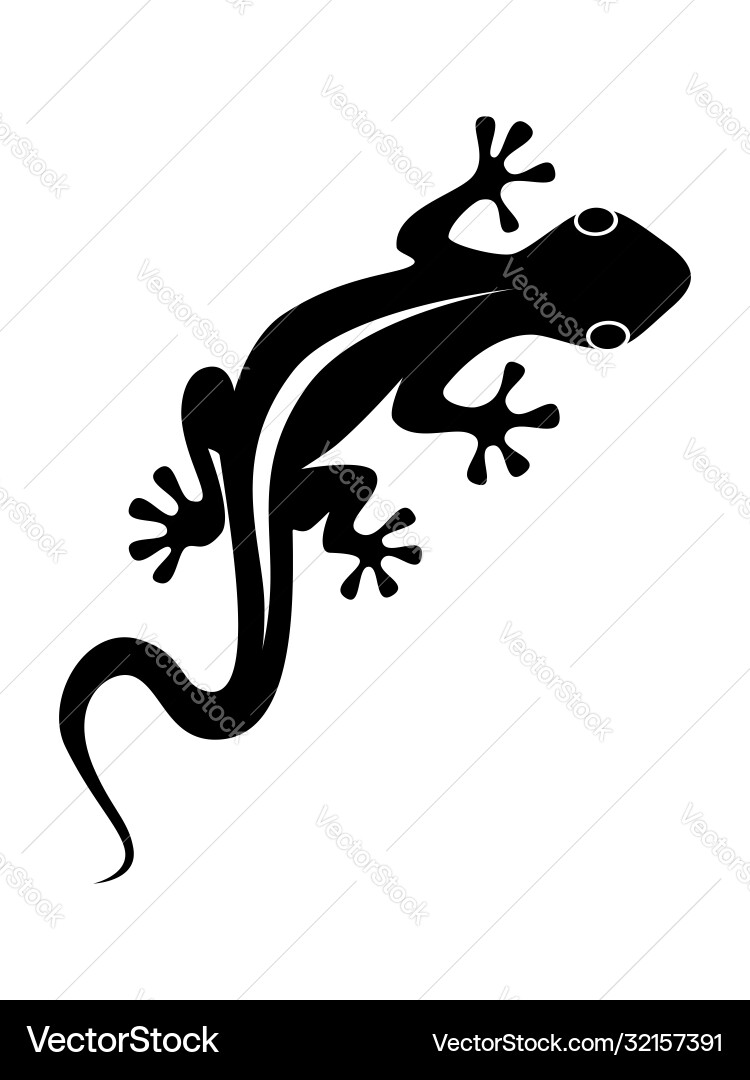 Lizard Vector Images (over 32,000)