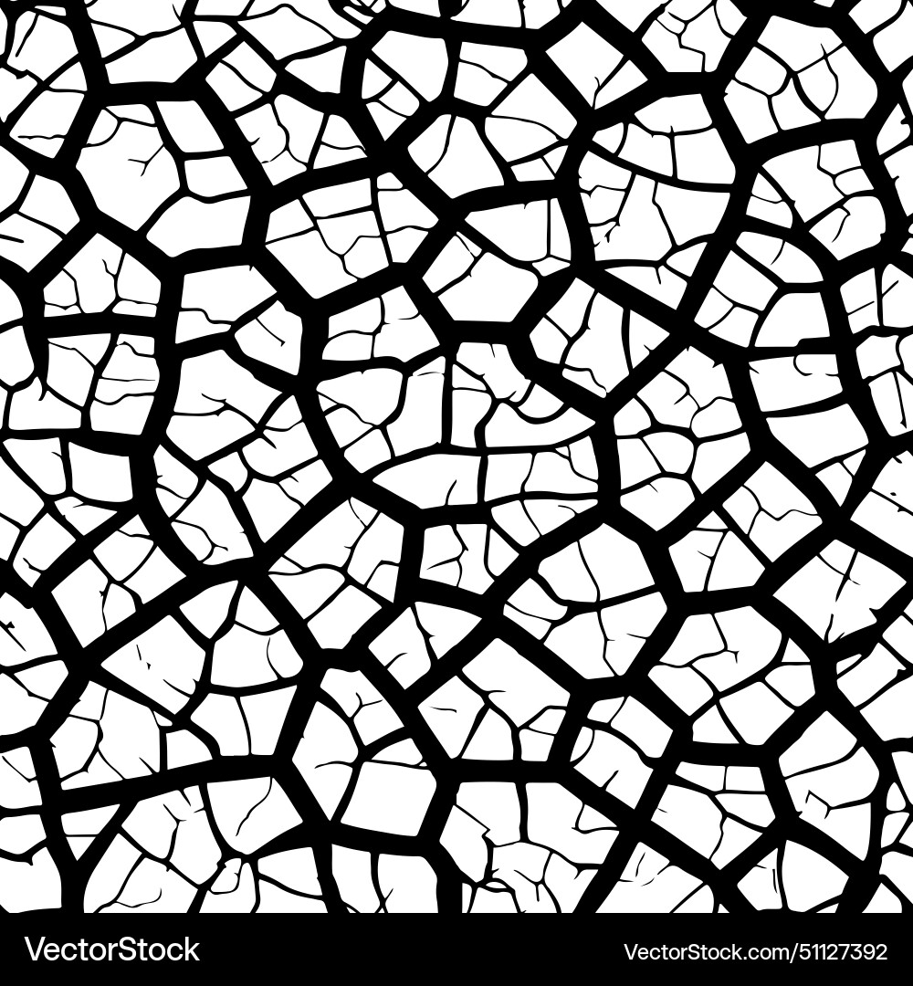 Abstract cracked desert earth texture pattern Vector Image