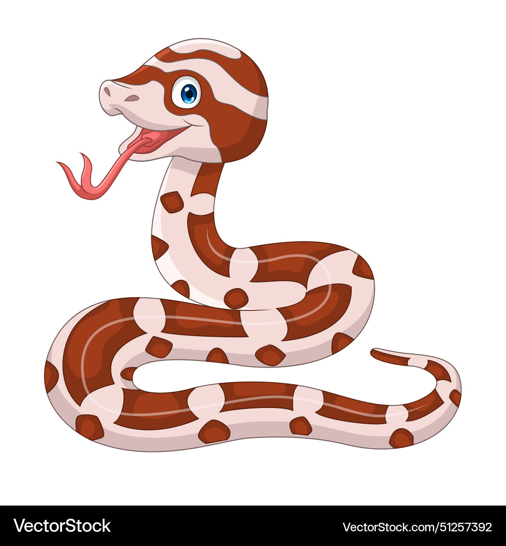 Cartoon cornsnake isolated on white background Vector Image