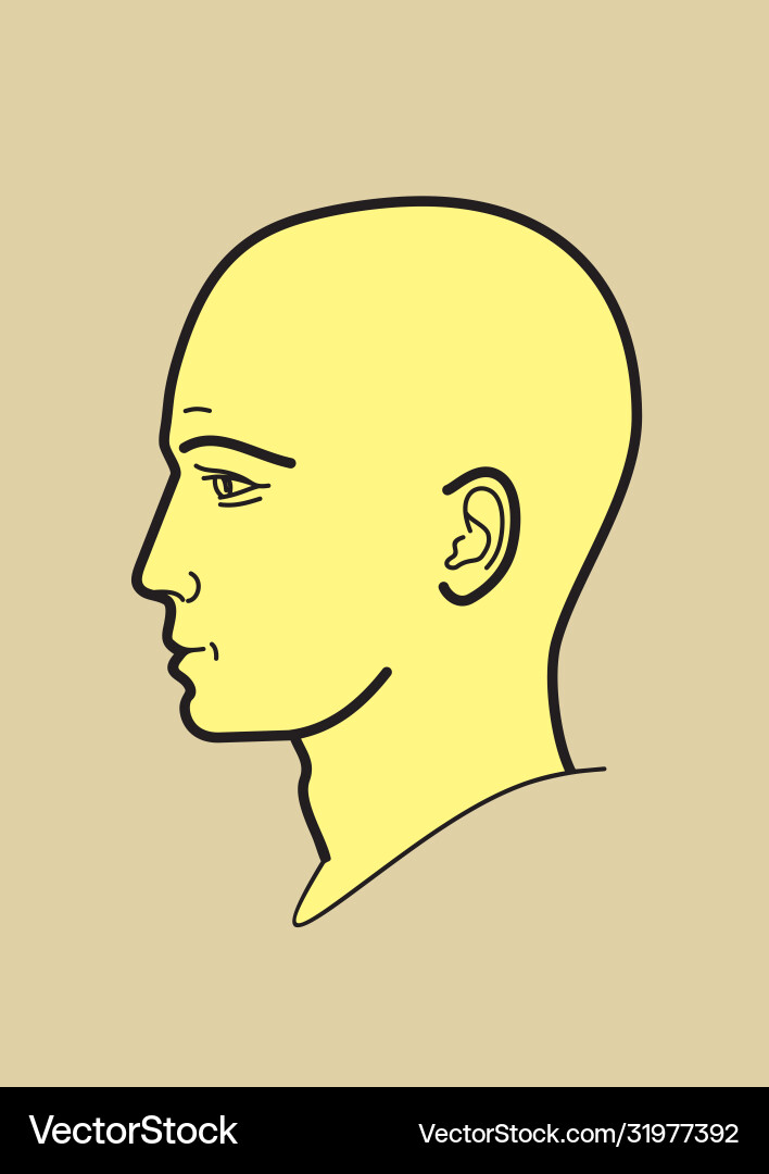 Human head 01 Royalty Free Vector Image - VectorStock
