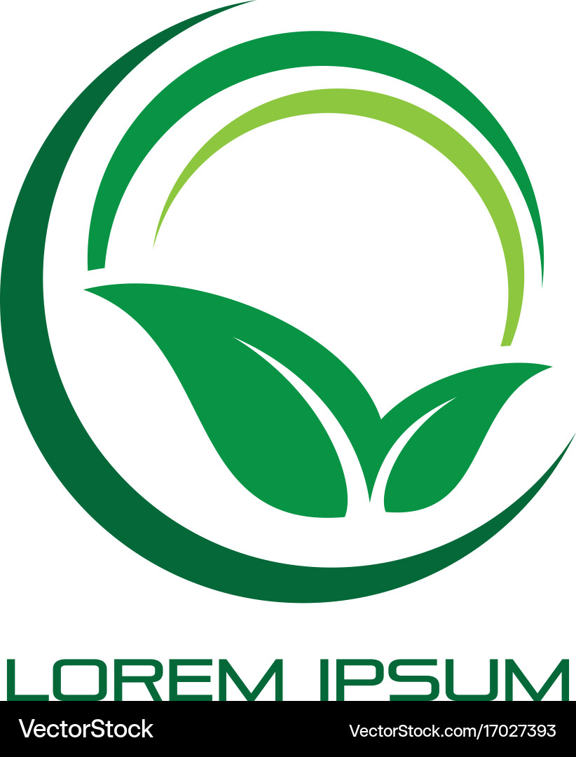 Circle swirl leaf eco logo Royalty Free Vector Image