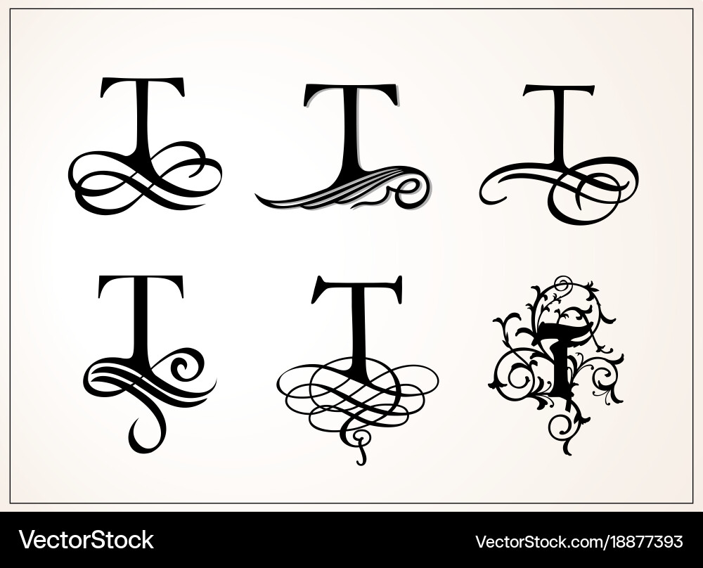 Vintage set capital letter t for monograms Vector Image