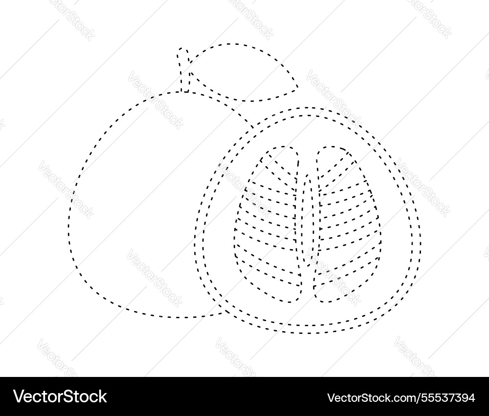 Dashed pomelo fruit outline for coloring book Vector Image