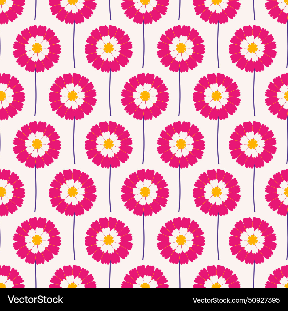 Seamless pattern with pink zinnia flowers Vector Image