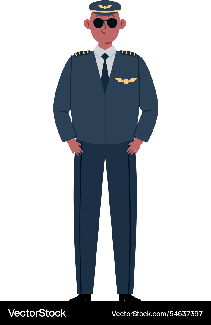 Air force pilot professional Royalty Free Vector Image