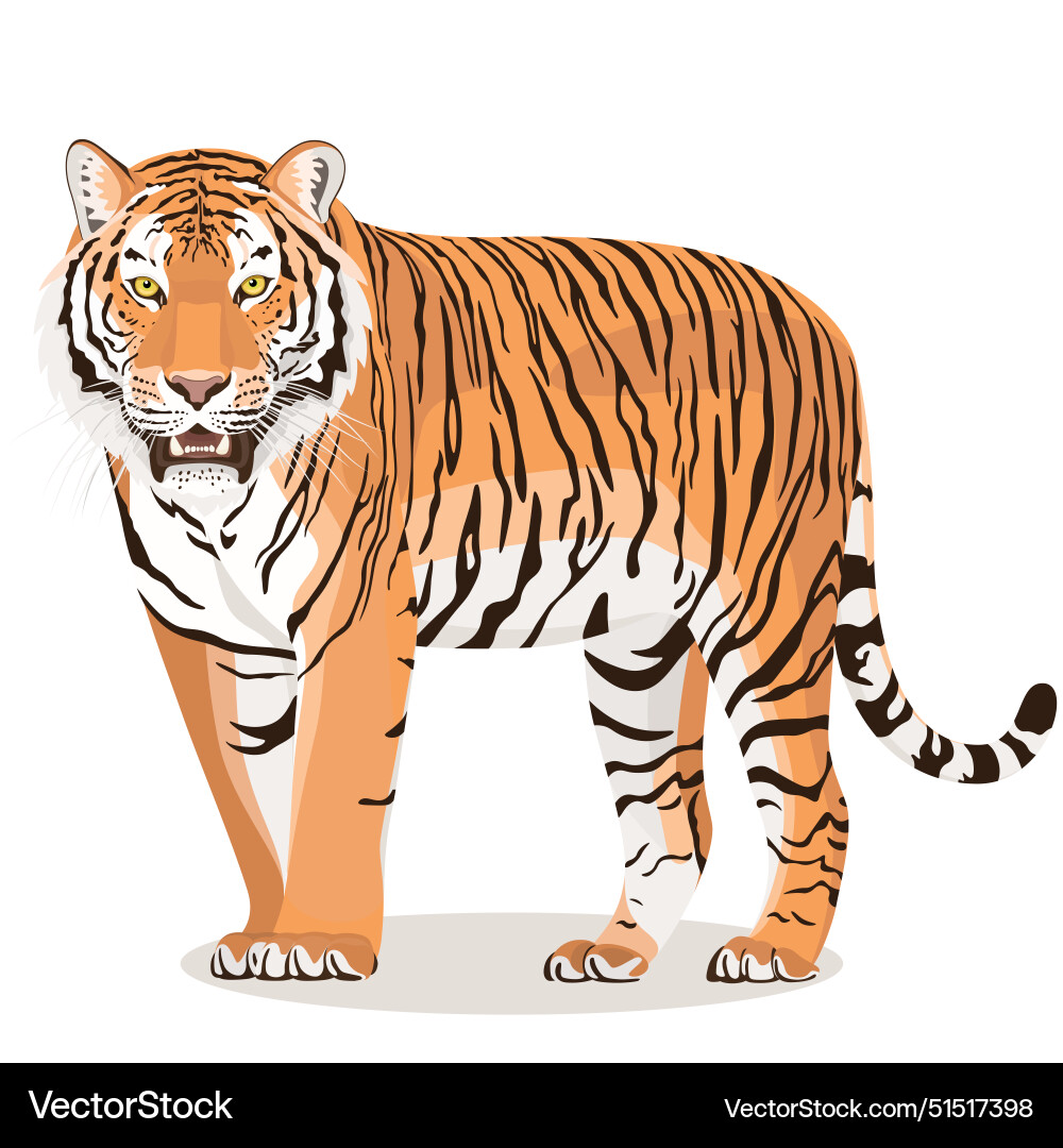 Amur tiger or ussuri is the rarest Royalty Free Vector Image