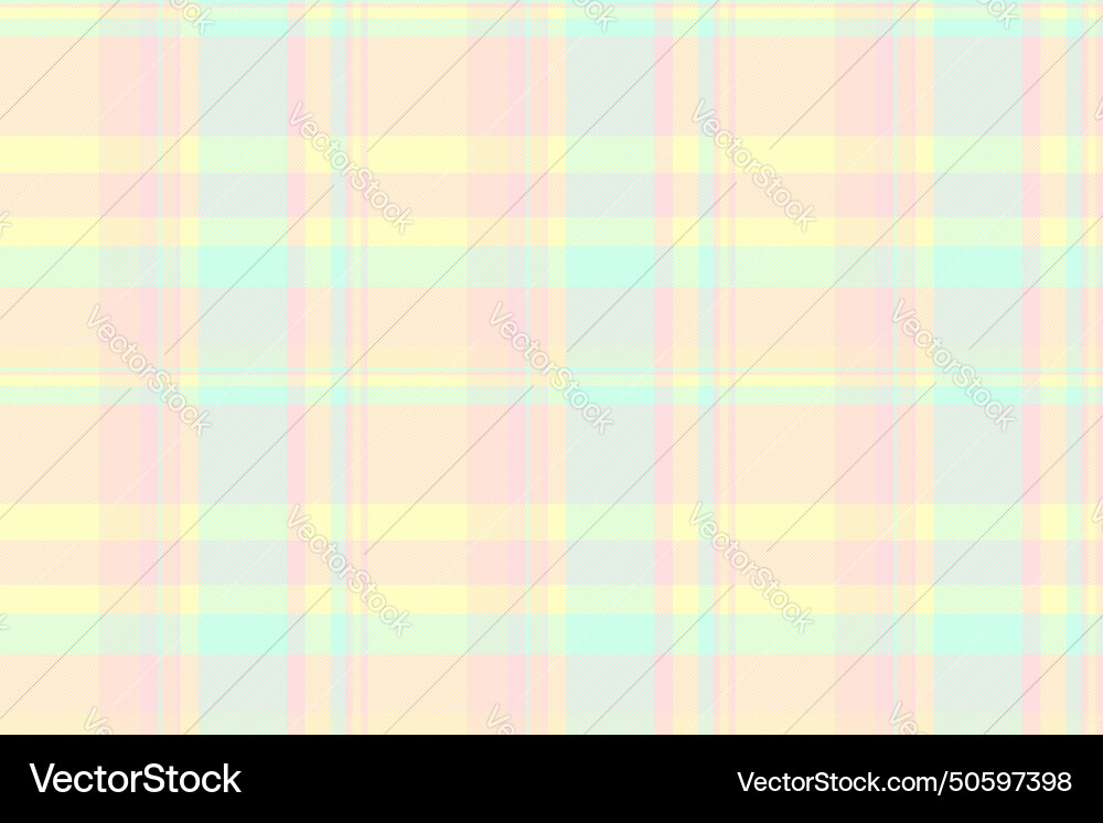 Check fabric of pattern plaid background Vector Image