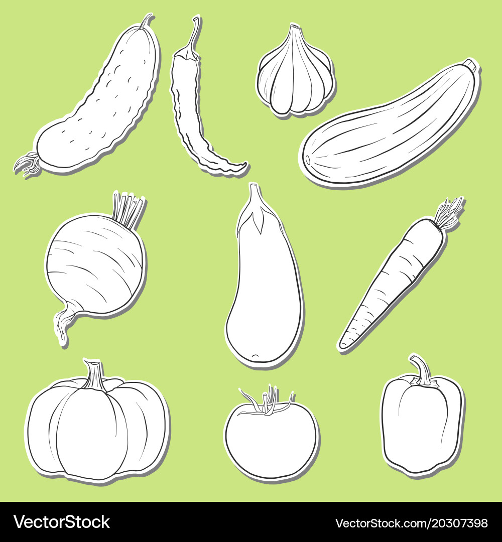 Drawing vegetables Royalty Free Vector Image - VectorStock