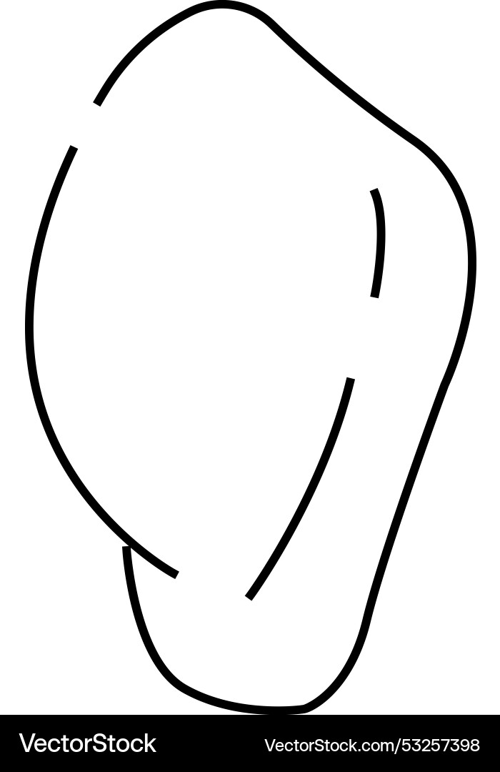 Middle phalanx line icon Royalty Free Vector Image