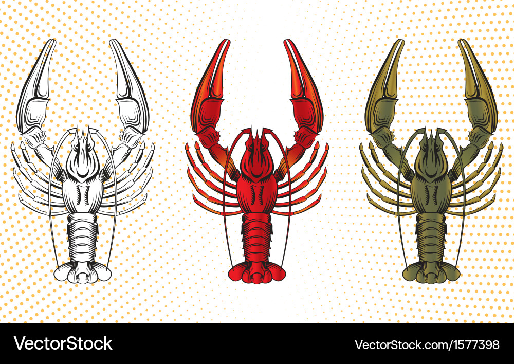 Set of crawfish Royalty Free Vector Image - VectorStock