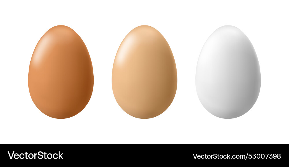 Whole egg with shell different colors Royalty Free Vector