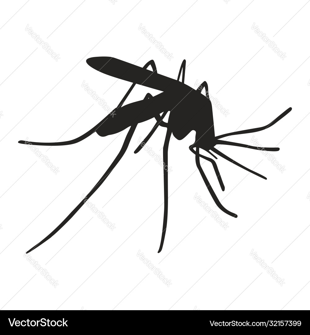 Mosquito Royalty Free Vector Image - VectorStock