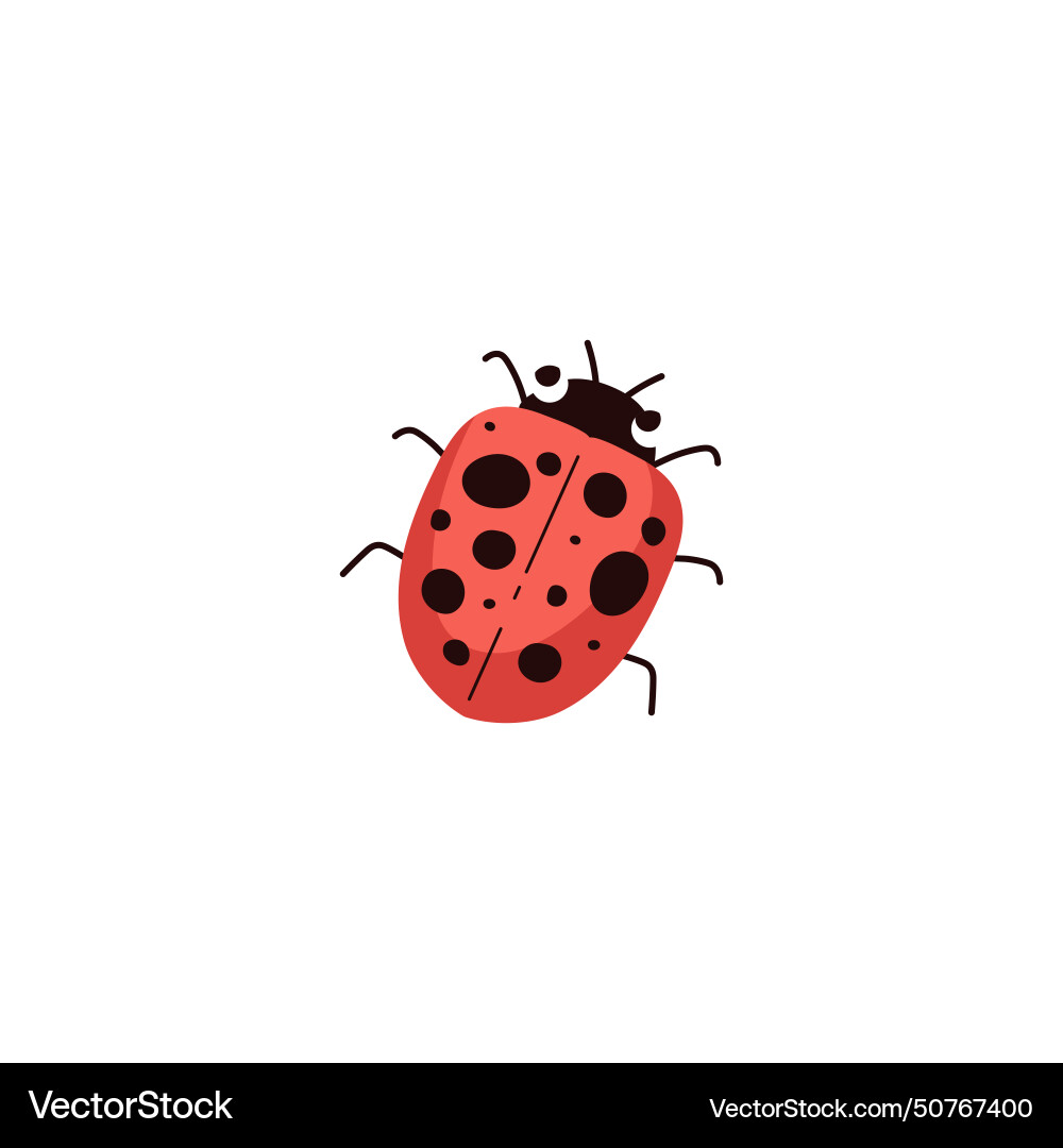 Ladybug or ladybird cartoon Royalty Free Vector Image