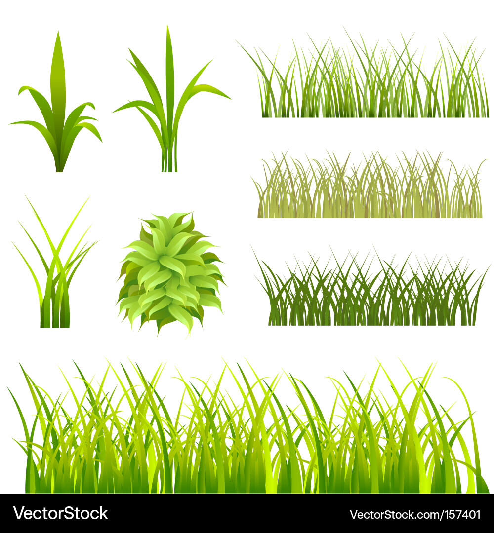 Grass Royalty Free Vector Image - VectorStock