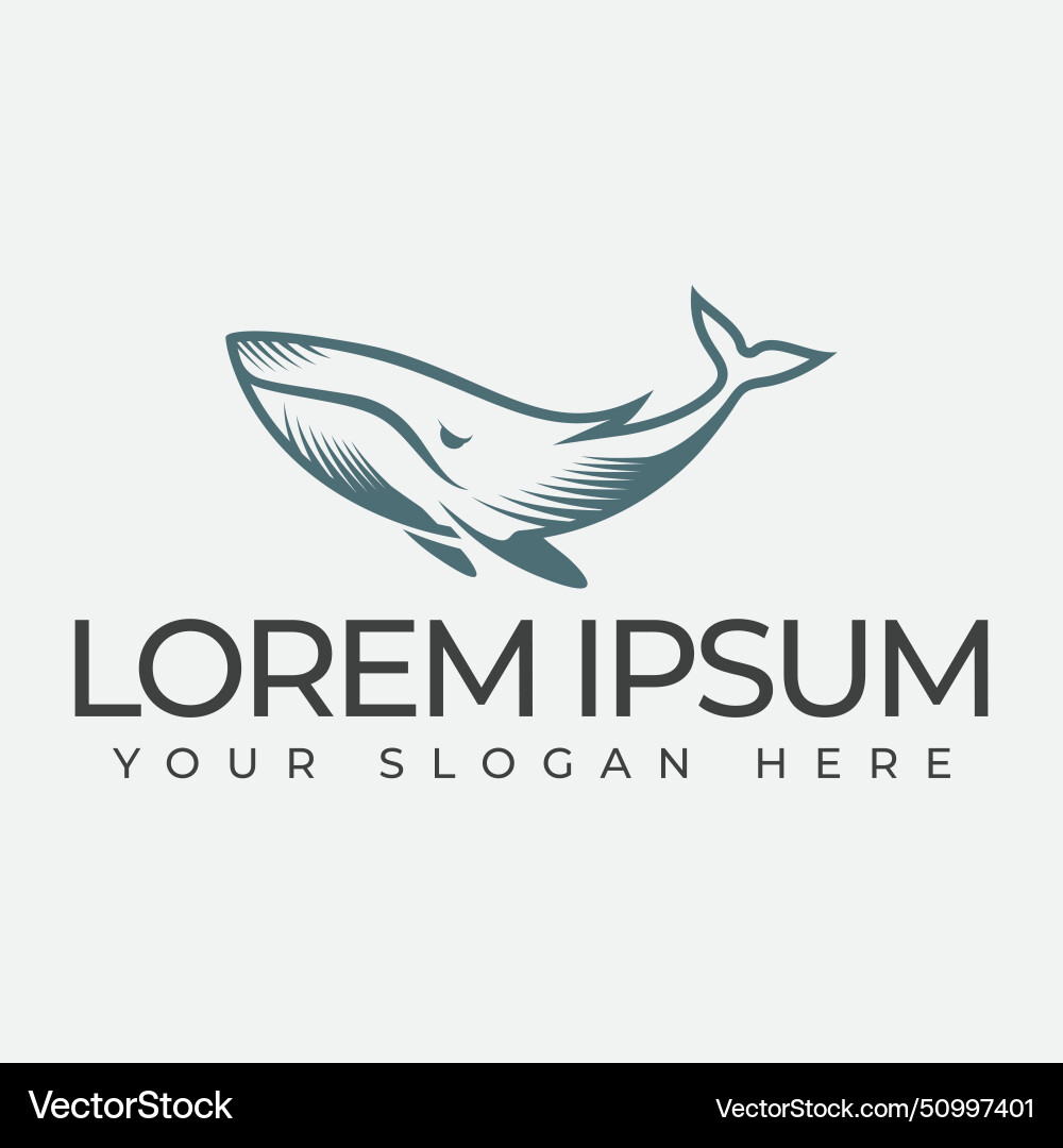 Killer whale logo Royalty Free Vector Image - VectorStock