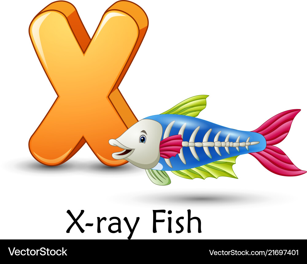 Letter x is for x-ray fish cartoon alphabet Vector Image
