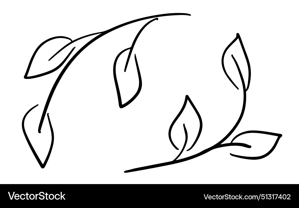 Minimalist leaf line art design Royalty Free Vector Image