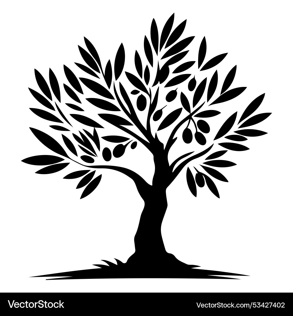 Olive tree silhouette flat style minimalist Vector Image