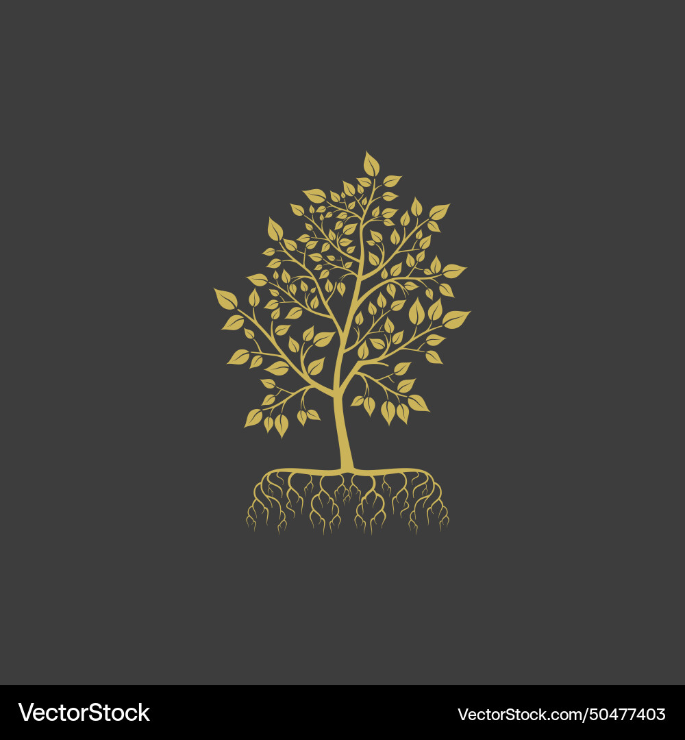 Tree with roots logo element Royalty Free Vector Image