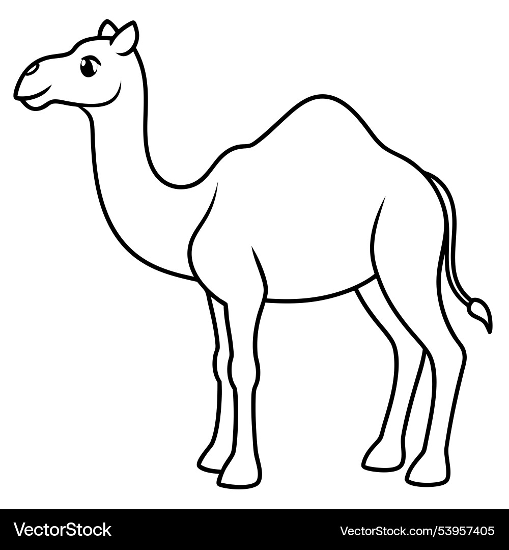 Camel line art design Royalty Free Vector Image
