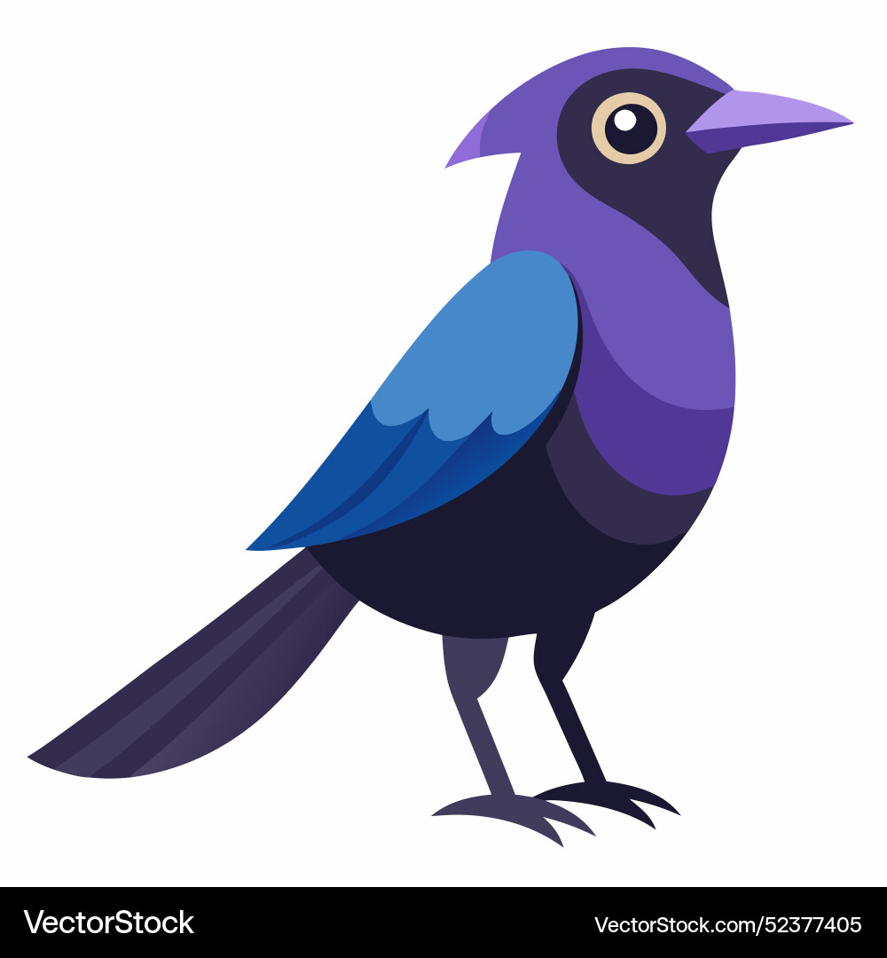 Common grackle bird sits kawaii Royalty Free Vector Image