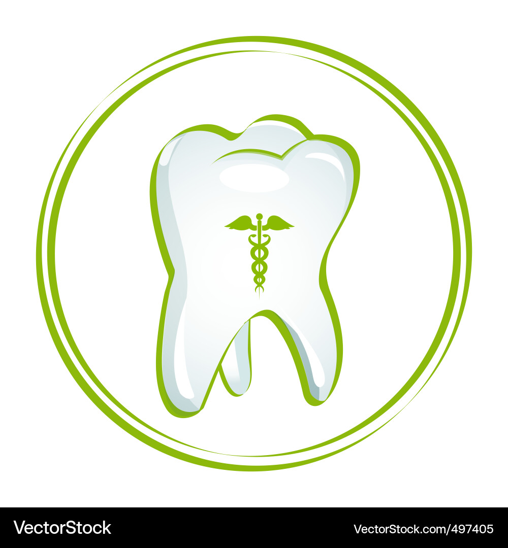 Healthy teeth Royalty Free Vector Image - VectorStock