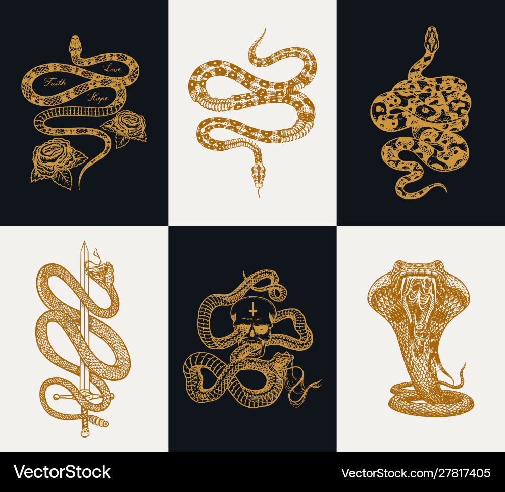 Milk snake with roses skeleton royal python Vector Image