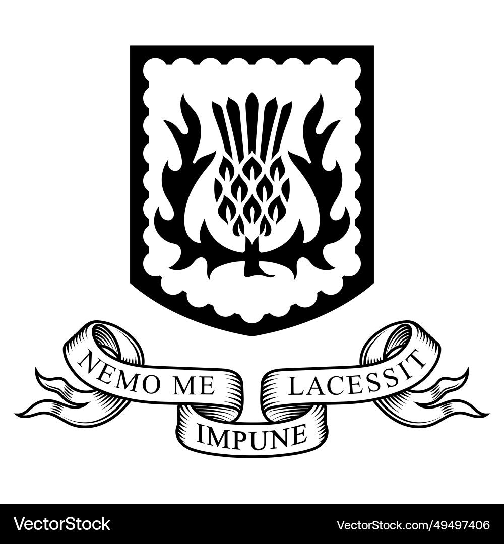 Old scottish design thistle flower and leaves Vector Image