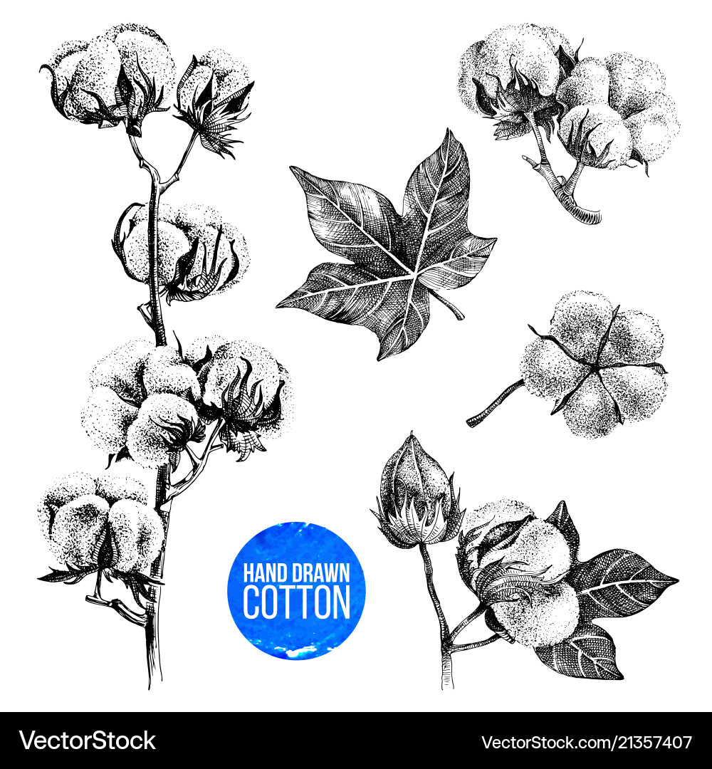 Cotton Farming Vector Images (over 1,700)