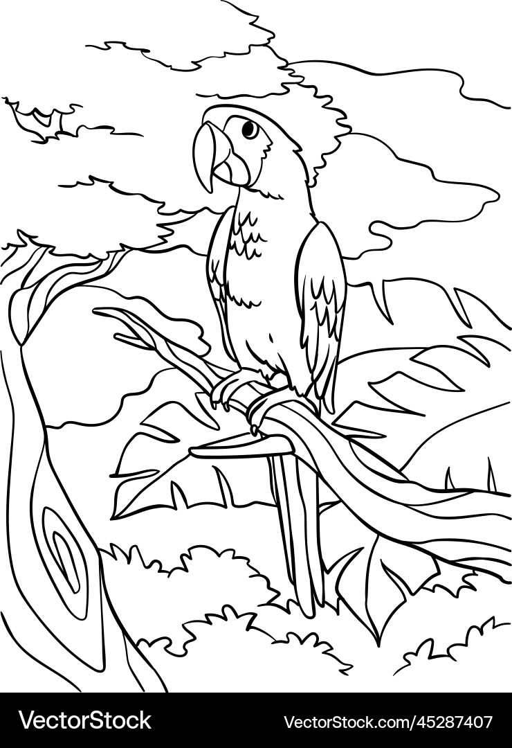 Parrot coloring page for kids Royalty Free Vector Image