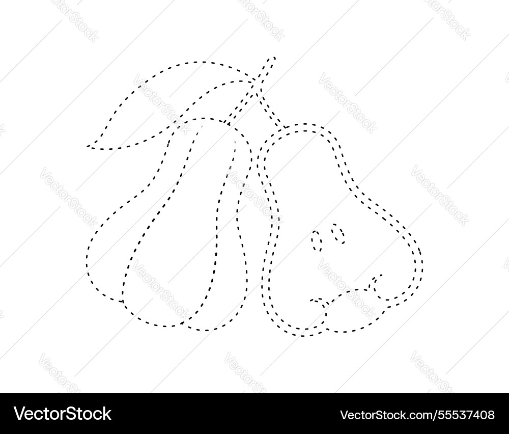 Dashed rose apple outline for coloring book Vector Image