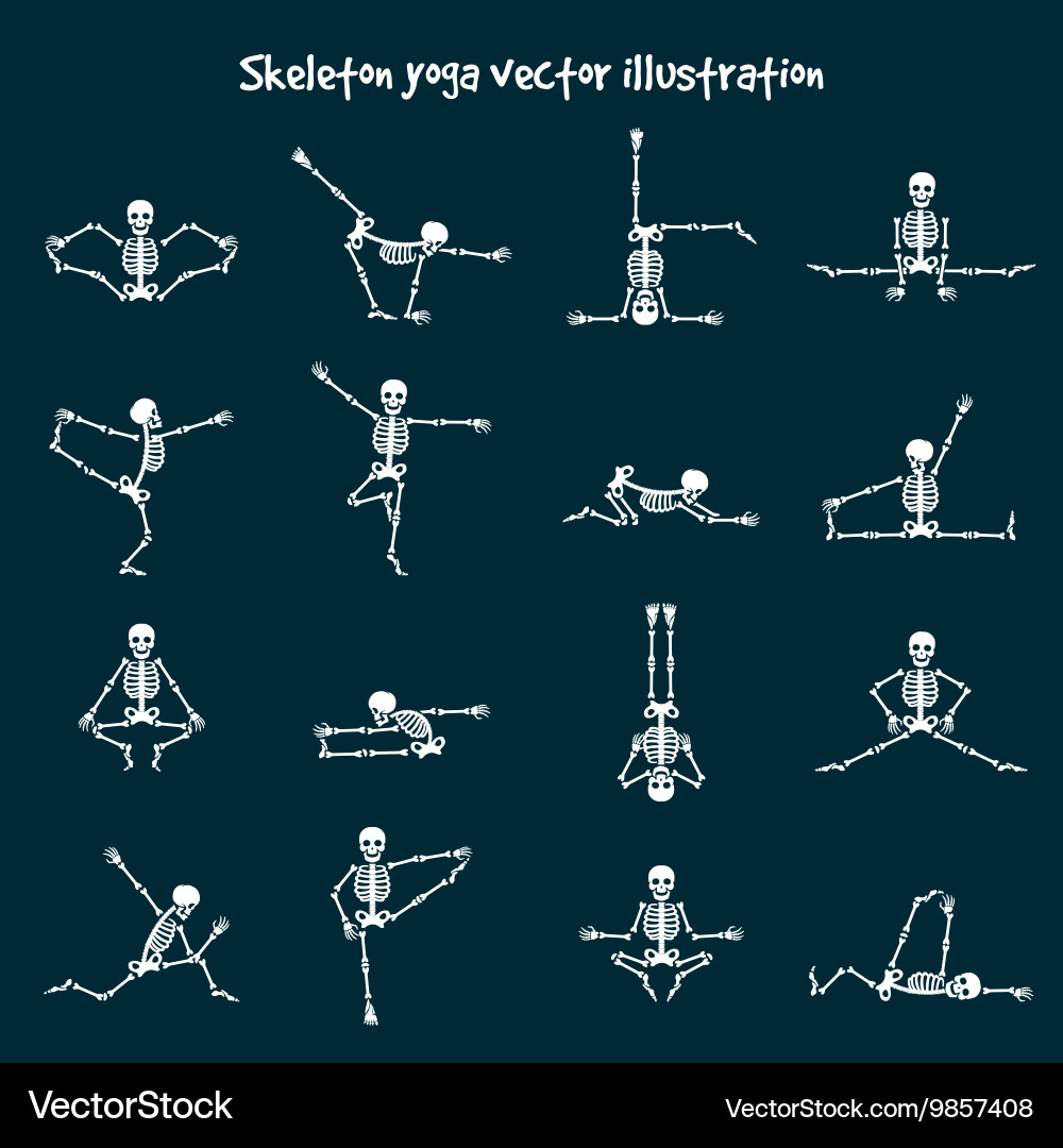 Skeleton yoga Royalty Free Vector Image - VectorStock
