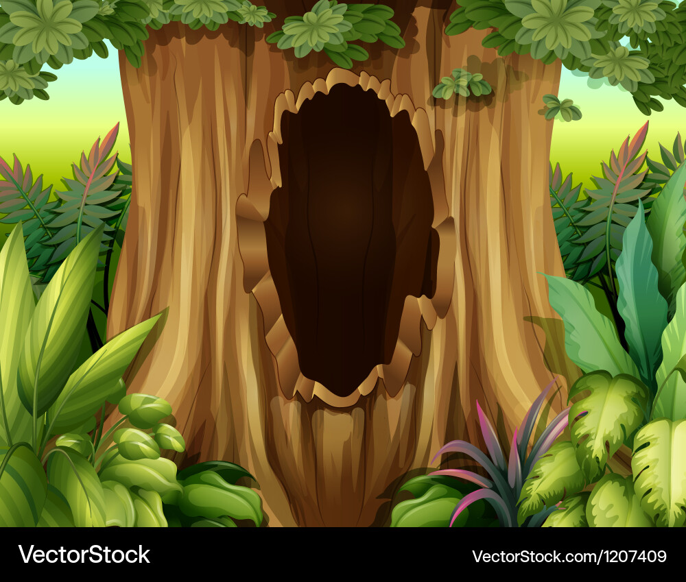 A hole in big tree Royalty Free Vector Image - VectorStock