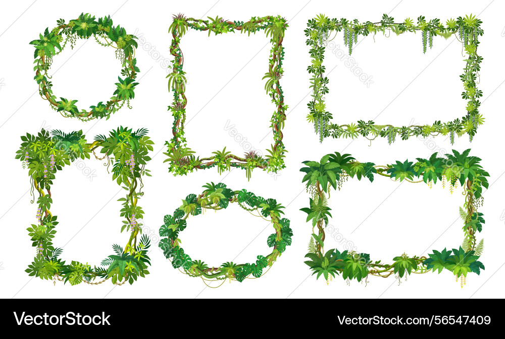 Jungle tropical forest green liana frame borders – Royalty-Free Vector ...