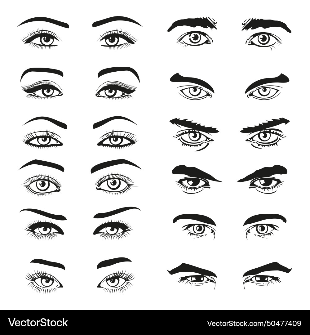 Man and woman eyes eyebrows Royalty Free Vector Image