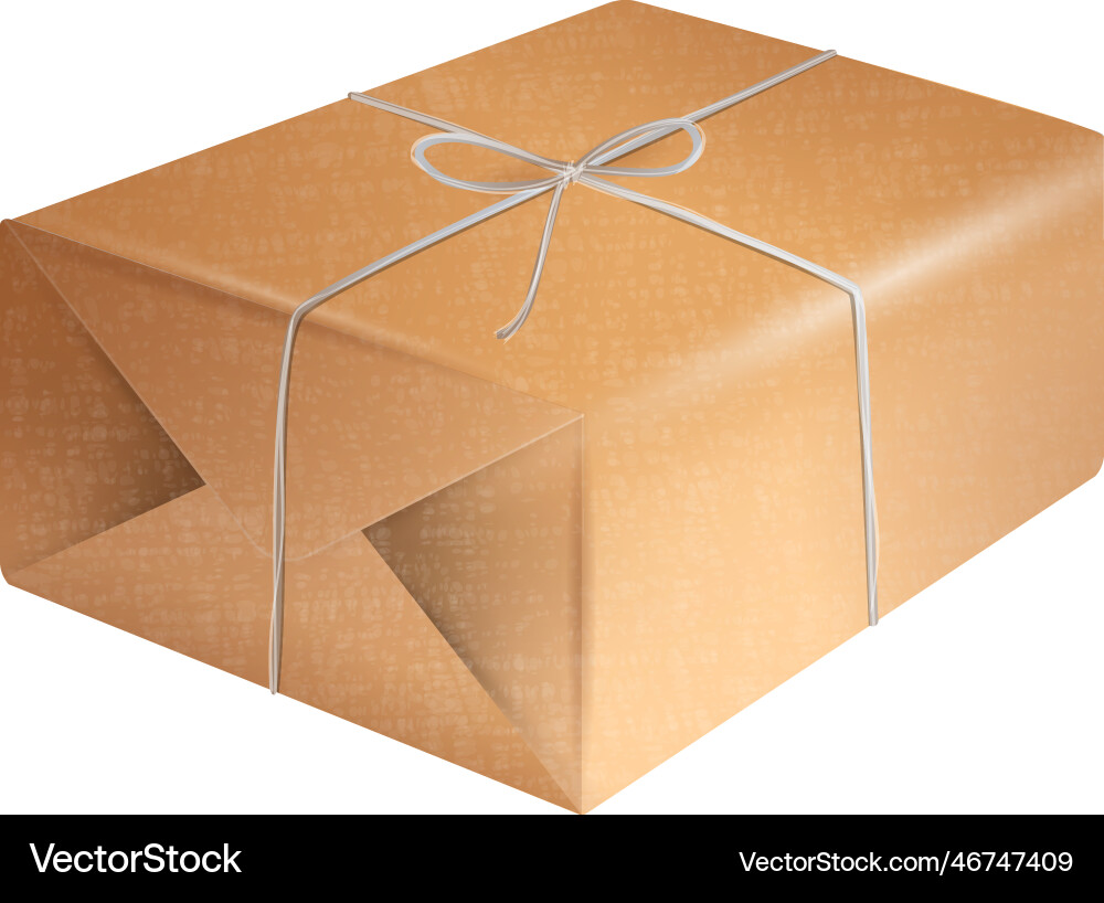 Realistic parcel Royalty Free Vector Image - VectorStock