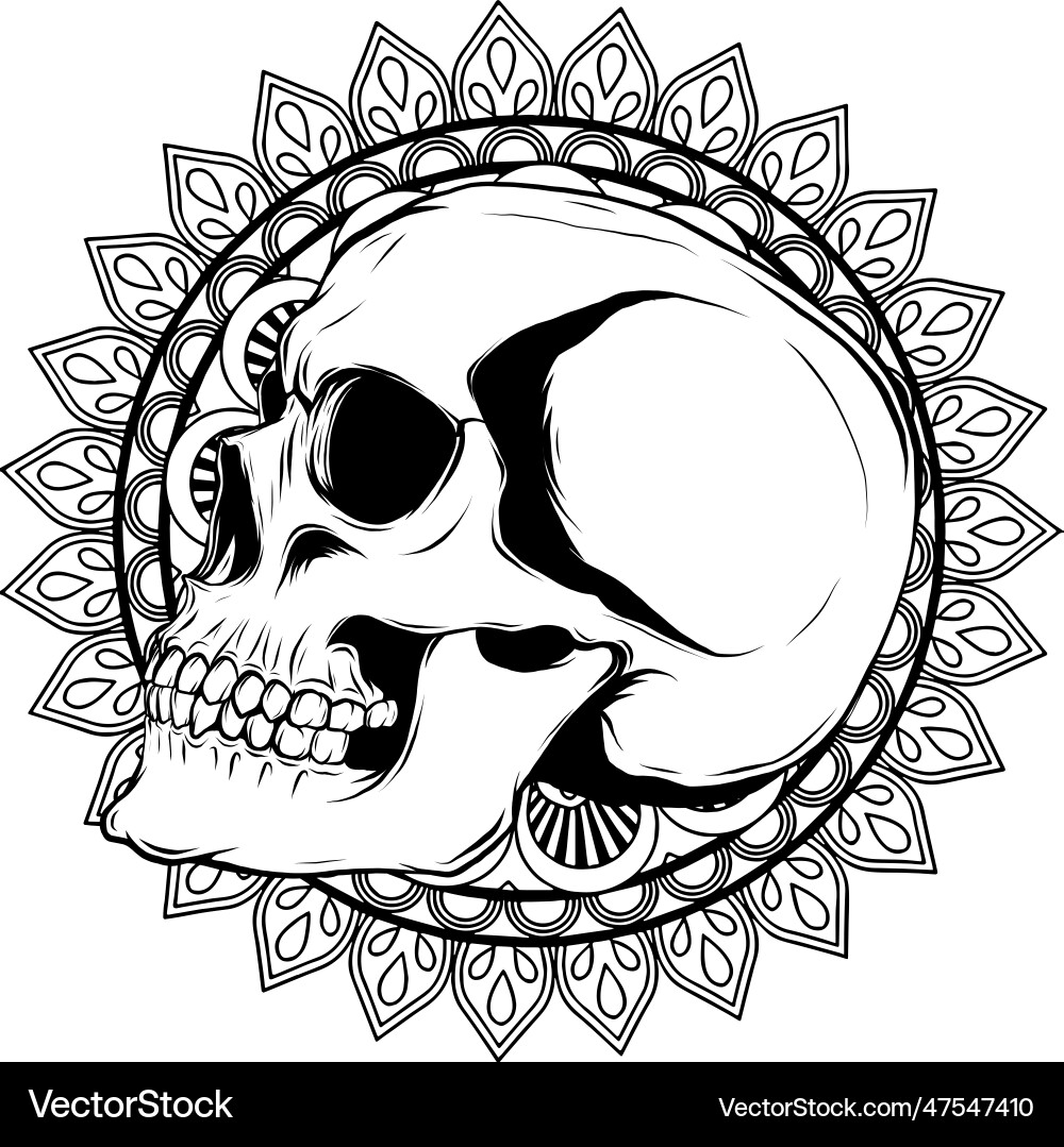 Outline human skull design Royalty Free Vector Image