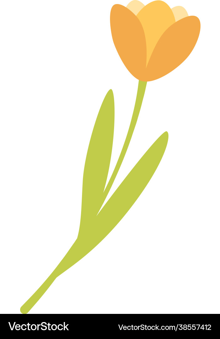 Tulip cartoon Royalty Free Vector Image - VectorStock