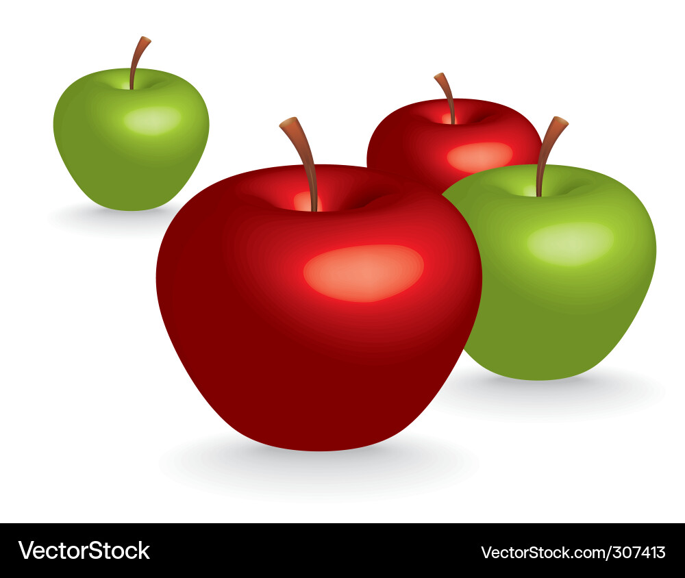 Apple yard Royalty Free Vector Image - VectorStock