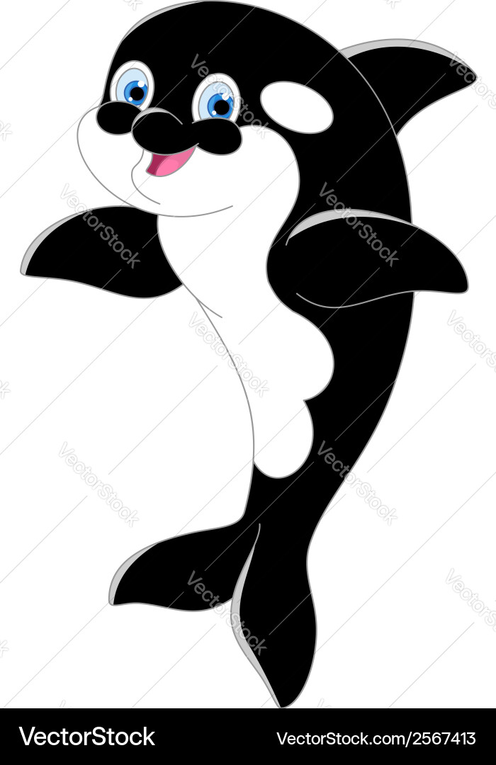 Killer whale Royalty Free Vector Image - VectorStock